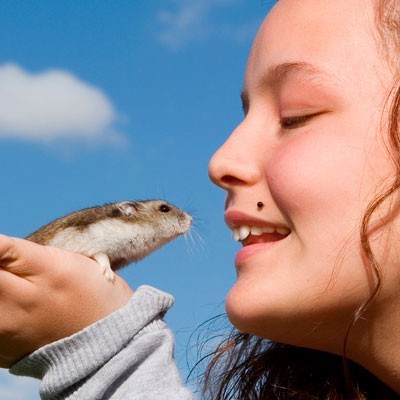 Basic Gerbil Care | Academy Pet Hospital